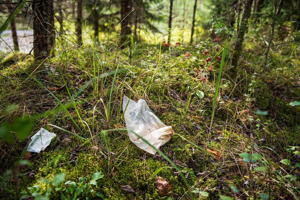 Random Garbage Junk Items Left in Nature Trails after Tourists Stock ...