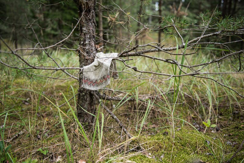Random Garbage Junk Items Left in Nature Trails after Tourists Stock ...