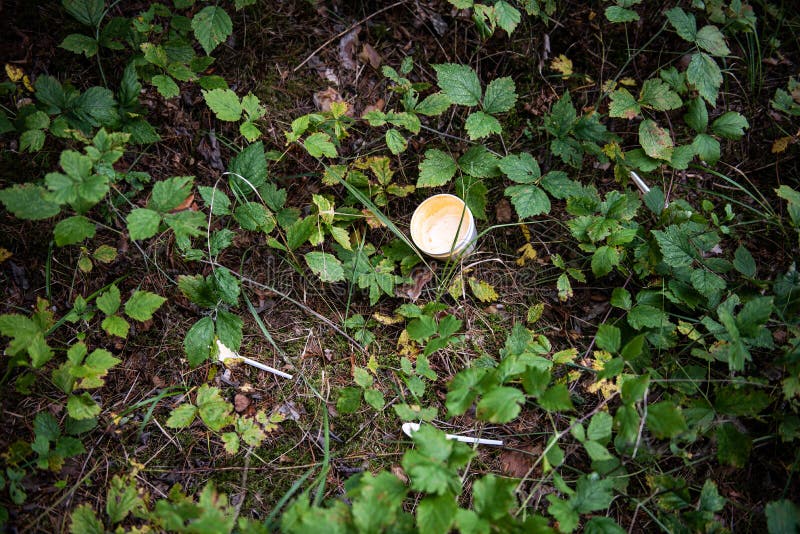 Random Garbage Junk Items Left in Nature Trails after Tourists Stock ...
