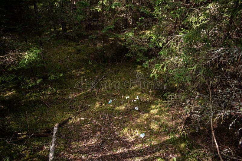 Random Garbage Junk Items Left in Nature Trails after Tourists Stock ...
