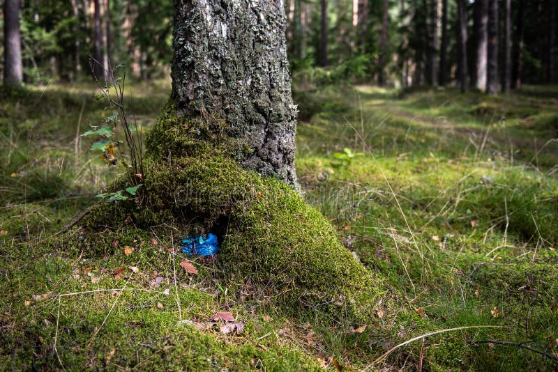 Random Garbage Junk Items Left in Nature Trails after Tourists Stock ...