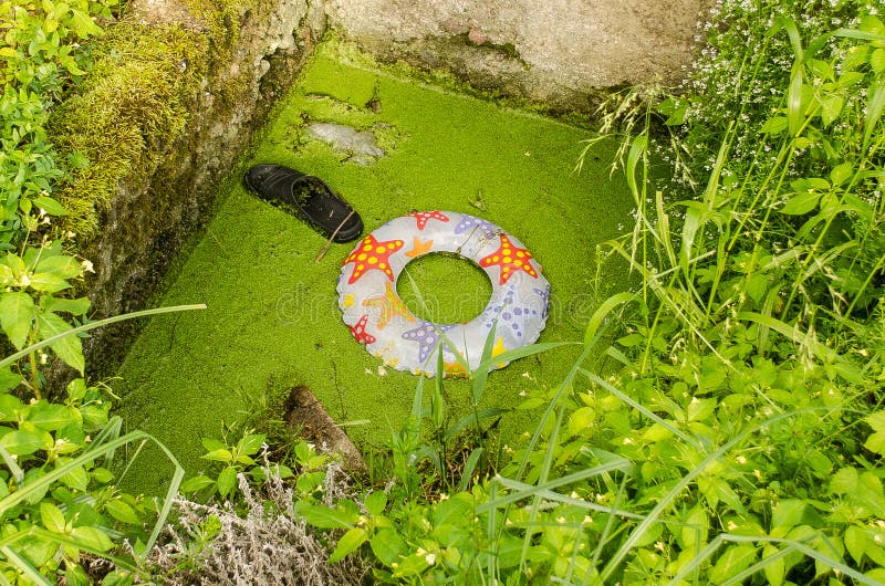 Random Garbage Junk Items Left in Nature Trails after Tourists Stock ...
