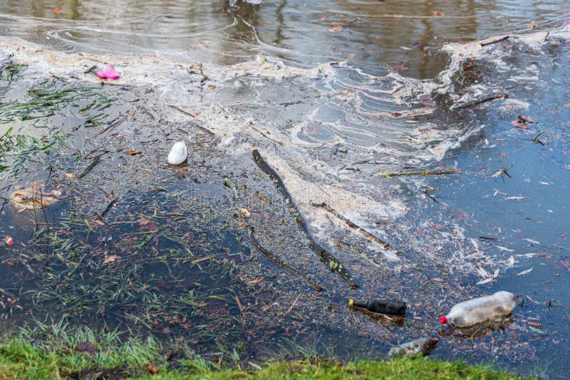 Random Garbage Junk Items Left in Water Stock Image - Image of bottle ...