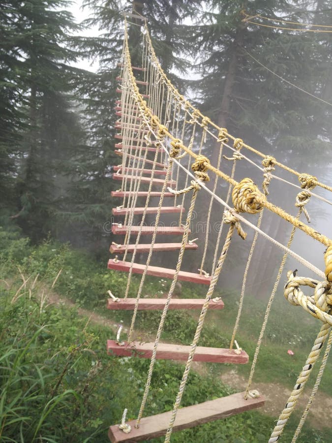 Random ladder stock photo. Image of resembling, ladder - 138415910