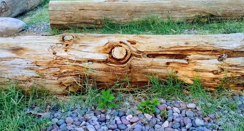 Random logs stock photo. Image of logs, random, nature - 146606778