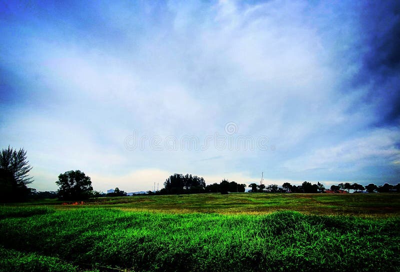 8,644 Random Nature Photos - Free & Royalty-Free Stock Photos from ...