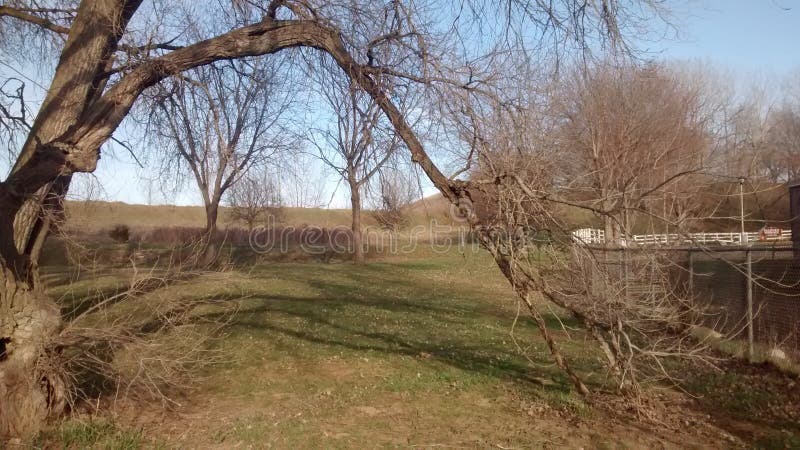 Random stock photo. Image of random, tree, night, extraordinary - 69727928