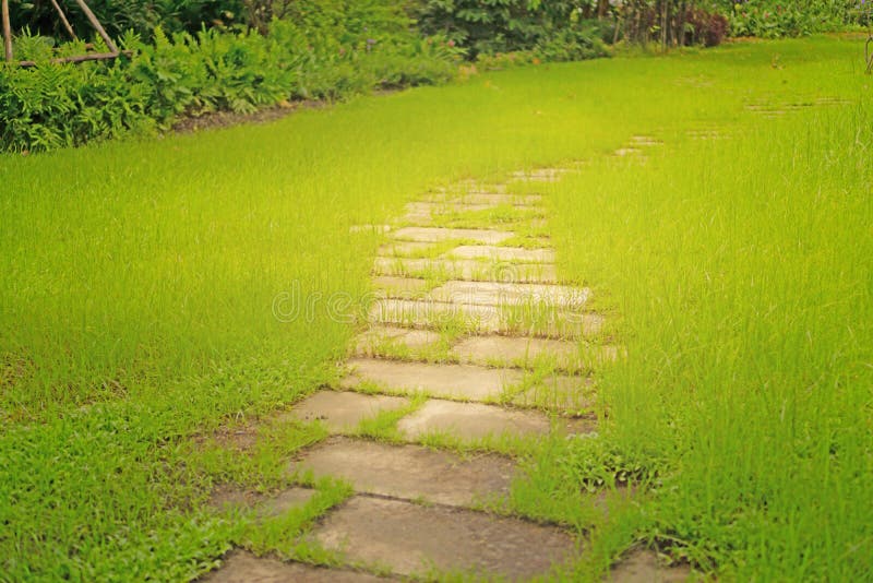 703 Stepping Stone Path Grass Stock Photos - Free & Royalty-Free Stock ...