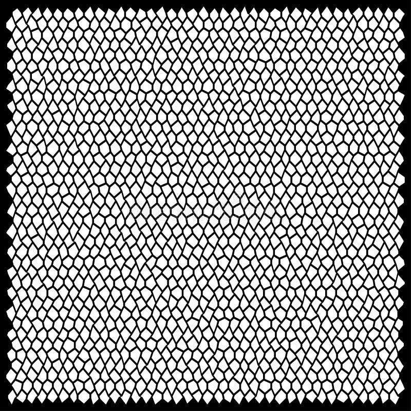 Random Paving Tiles Pattern, Texture, Revetment, Stonework, Stonewall ...