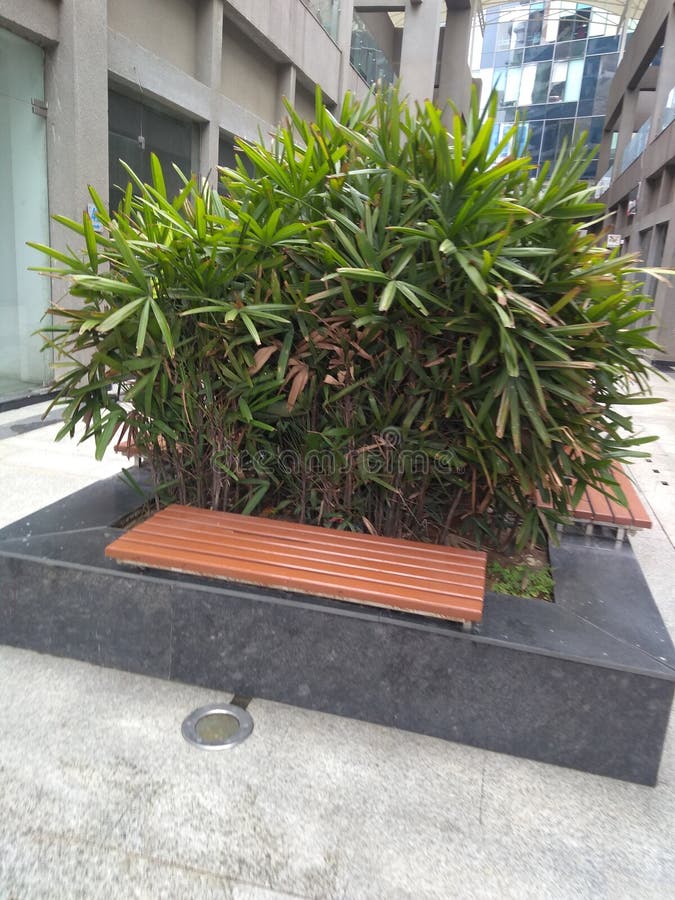 Random stock photo. Image of office, premises, random - 120078076