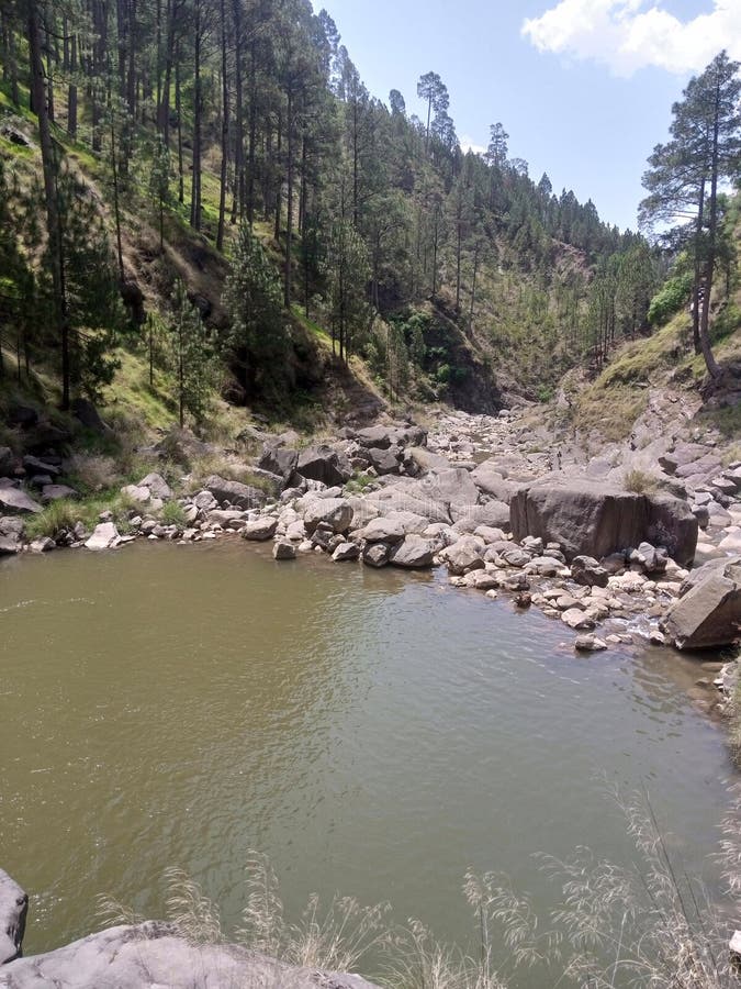 Random pics stock photo. Image of park, wonderful, area - 247176262