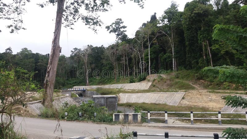 Random Picture. stock photo. Image of soil, park, garden - 162128362