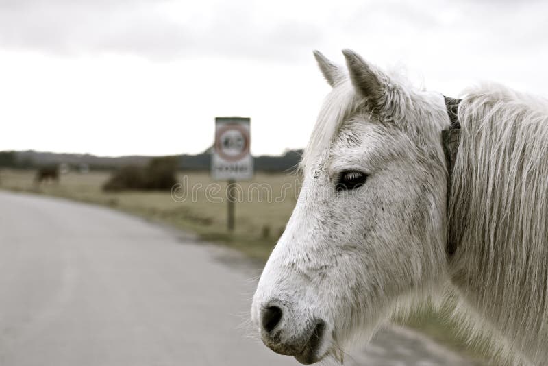 Random shot stock photo. Image of national, random, beautiful - 50688512