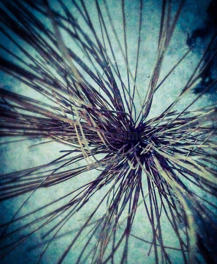 Random shot stock photo. Image of national, random, beautiful - 50688512