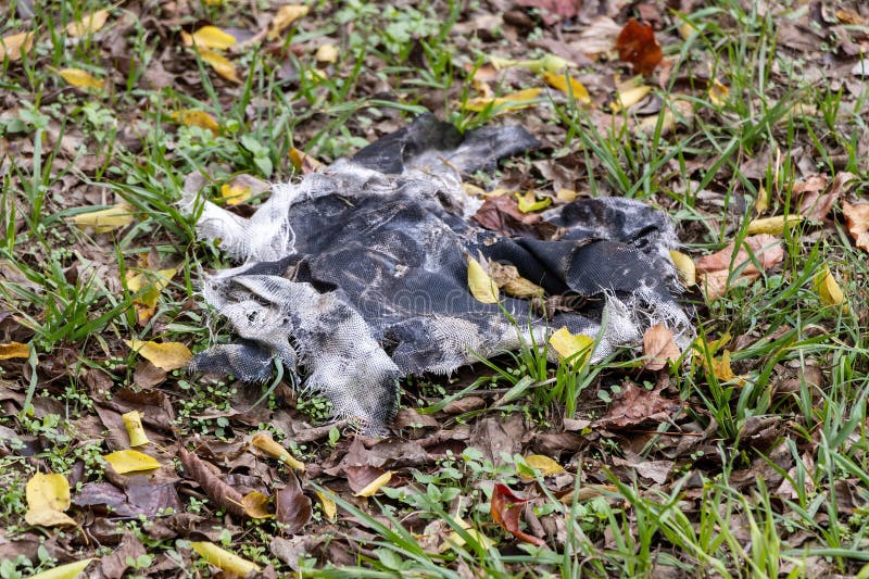 Random trash in the grass stock image. Image of leaves - 298219579