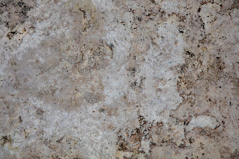 Random, Unique, Natural Cannstatter Travertine Texture - Freshwater ...