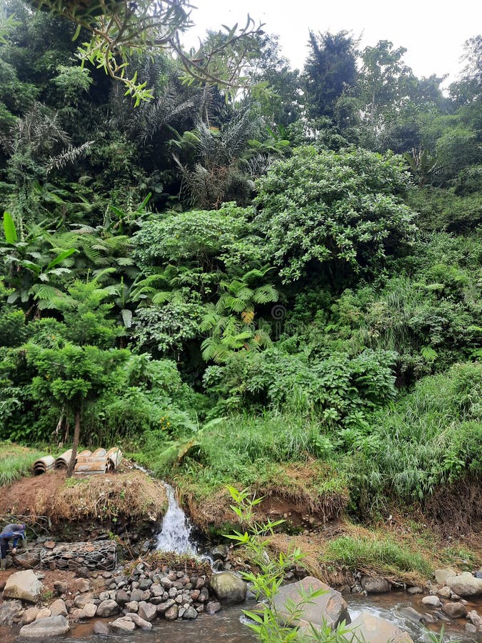 Random view outdoor stock image. Image of view, branch - 264780387