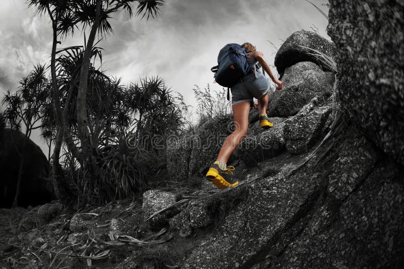 Images Randonneur - Téléchargez 214,114 Photos libres de droits