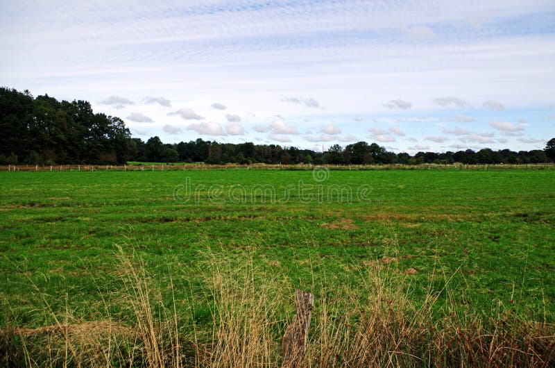 Range Land with Pale Blue Sky Stock Photo - Image of daylight ...
