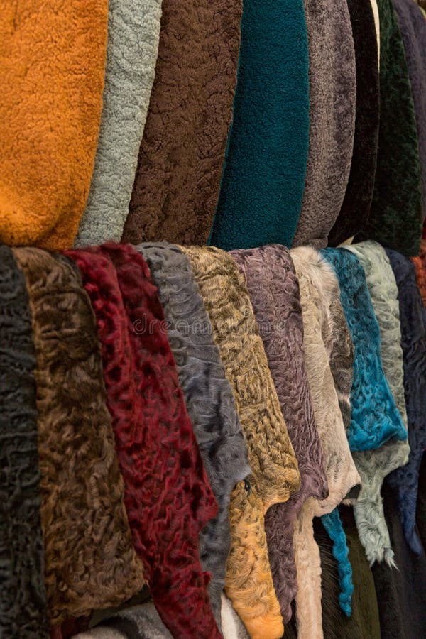 Natural Karakul fur stock photo. Image of color, atelier - 173819498