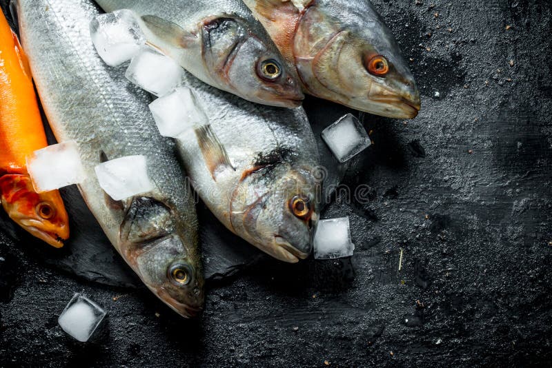 Range of Marine Fish on a Wooden Tray Stock Image - Image of collection ...