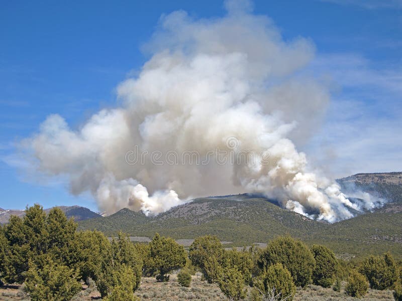 Rangeland Fire stock image. Image of soot, flame, rural - 40166625
