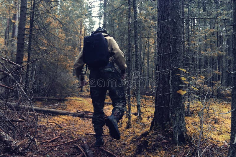 Ranger in autumn forest stock photo. Image of beard, male - 64402574
