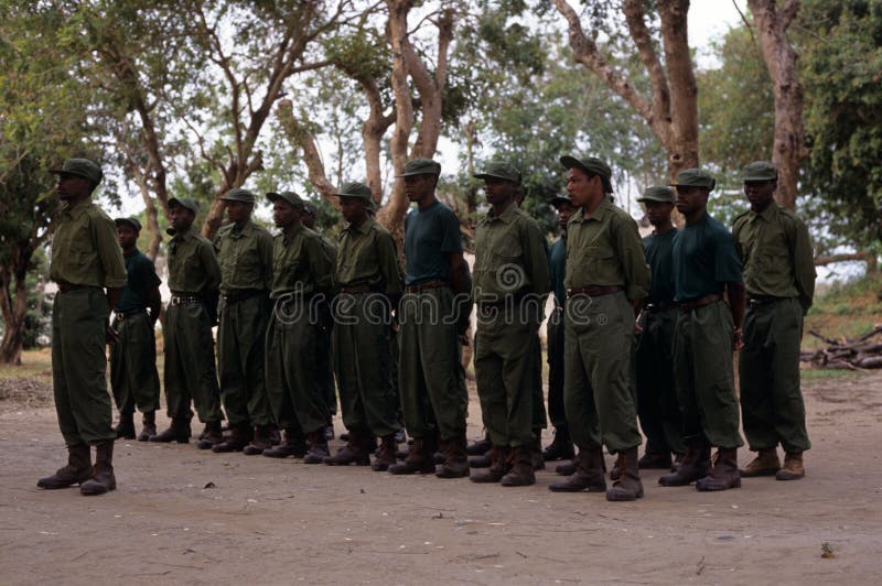 Rangers during a Drill in the Gorongosa National Park Editorial Photo ...