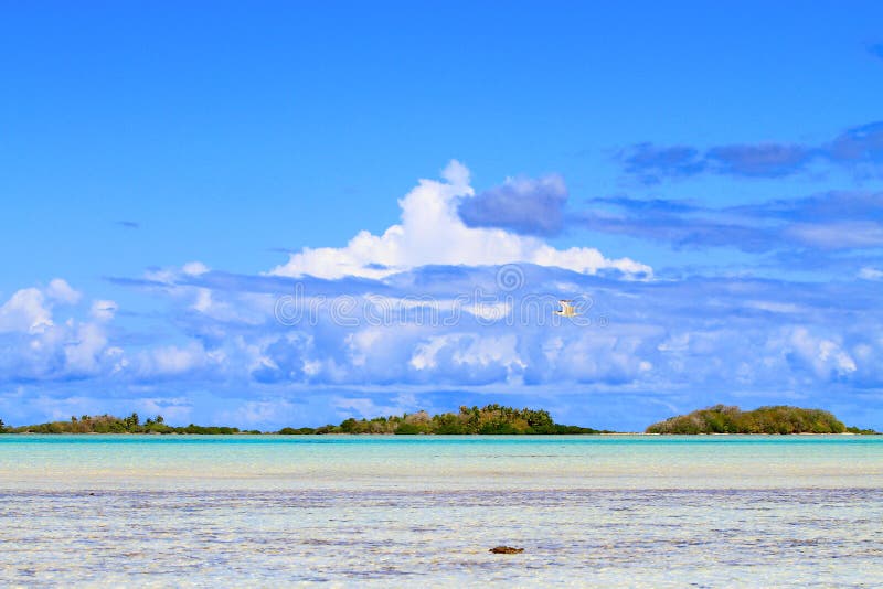 Rangiroa atoll stock photo. Image of atoll, blue, exotic - 49122866