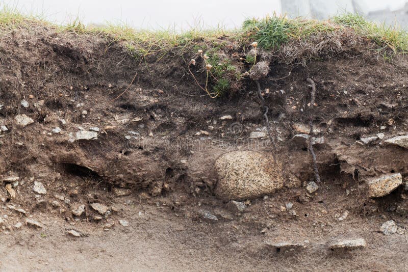 Ranker Soil with Large Granite Fragments Stock Photo - Image of ...