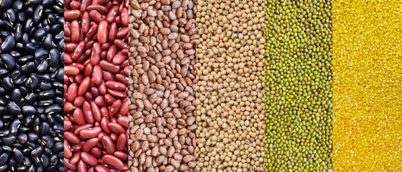 The Ranks of Different Beans Stock Image - Image of legume, nutrition ...