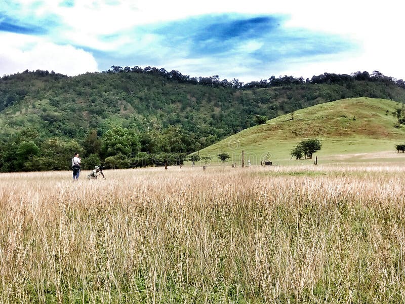 Ranong editorial stock photo. Image of mountian, sawana - 85007173