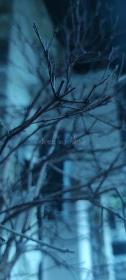 Ranting stock image. Image of reflection, line, winter - 263003035