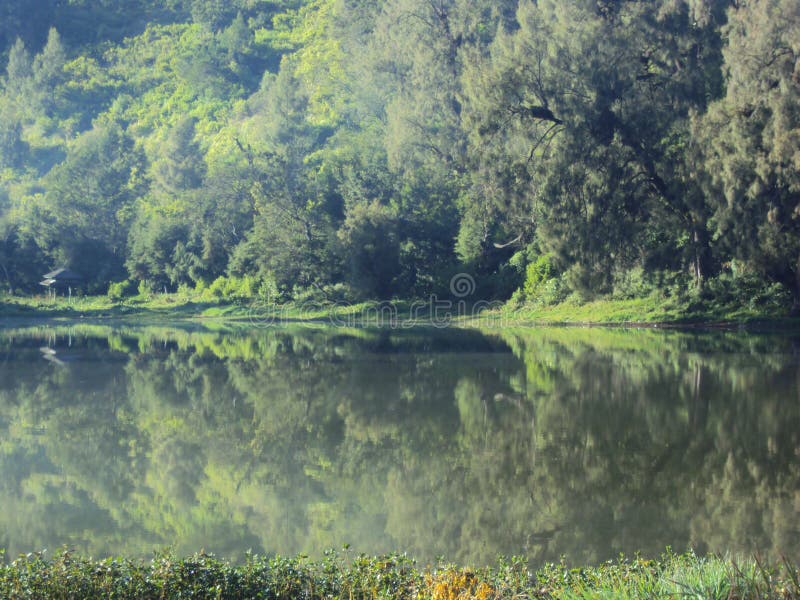 Ranu Pane stock image. Image of pane, ranu, lumajang - 61643653