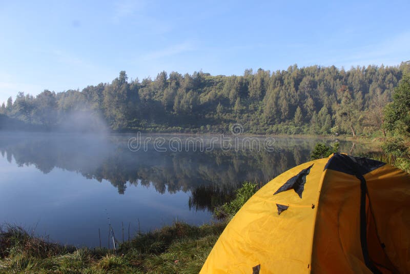 Ranu Pane Lake, Semeru Mountain Stock Photo - Image of wetland, tree ...