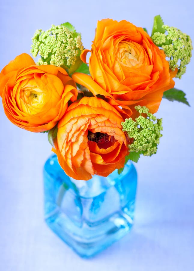 Ranunculus Flowers in a Blue Glass Vase Stock Image - Image of gift ...