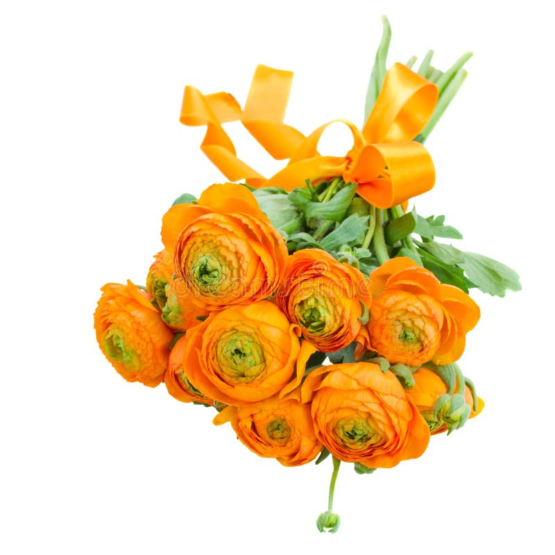 Orange ranunculus bouquet stock photo. Image of flowers - 30991868