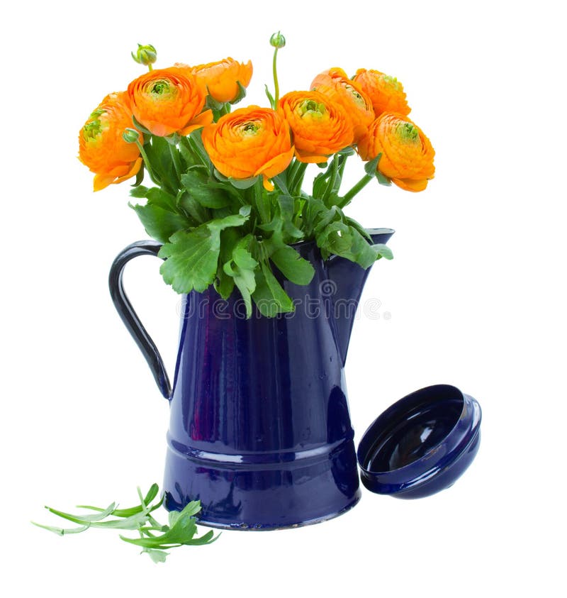Orange ranunculus bouquet stock photo. Image of flowers - 30991868