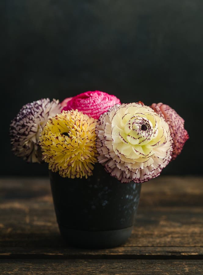 Ranunculus Flowers in a Vase Stock Photo - Image of plant, blossom ...