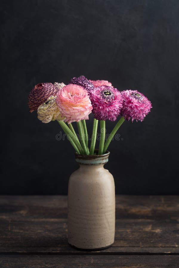 Ranunculus Flowers in a Vase Stock Photo - Image of plant, blossom ...