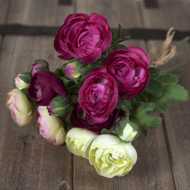 Renoncules De Persan De Ranunculus Photo stock - Image du durée ...