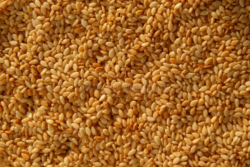 Sesame Seed stock photo. Image of object, food, healthy - 89160