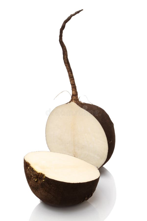 Rapa nera (ravanello nero) fotografia stock. Immagine di isolato - 18243132