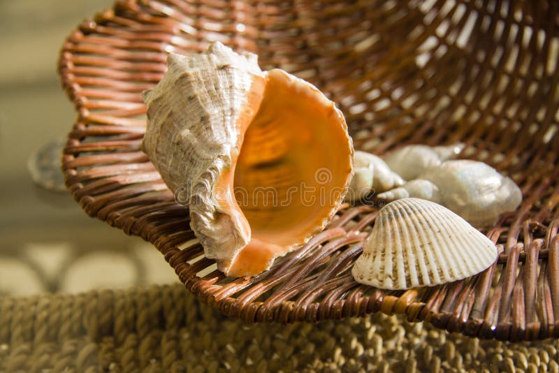 Rapans stock image. Image of artwork, golden, ethnic - 50154629