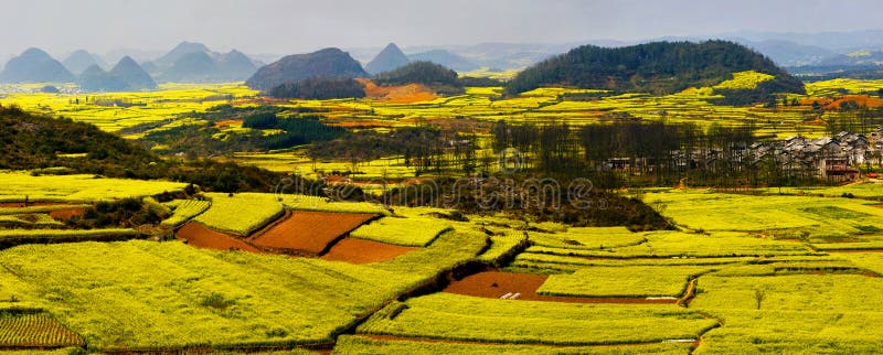 Red land in sunrise stock photo. Image of grain, flowers - 22065352
