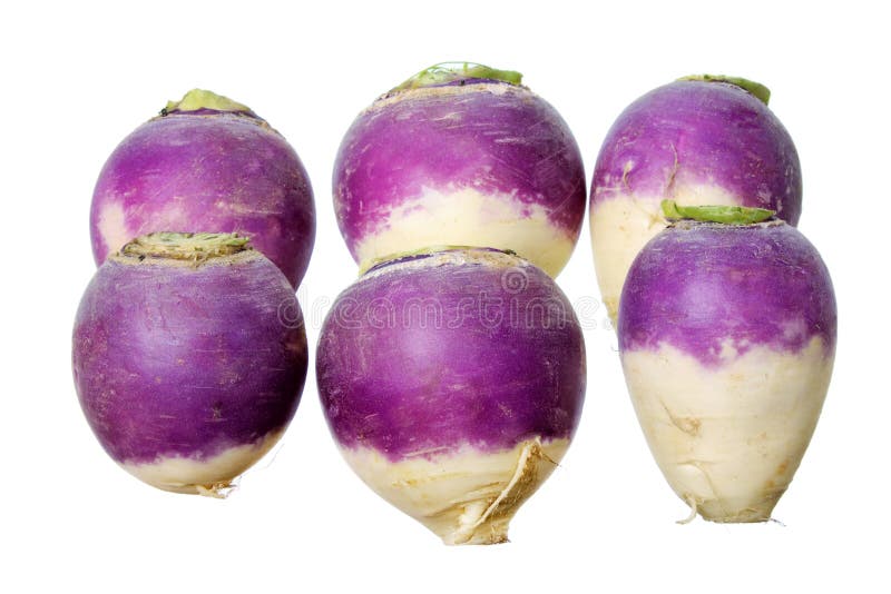 Rapen stock afbeelding. Image of besnoeiing, organisch - 26096789