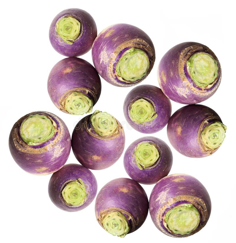 Rapen stock afbeelding. Image of besnoeiing, organisch - 26096789