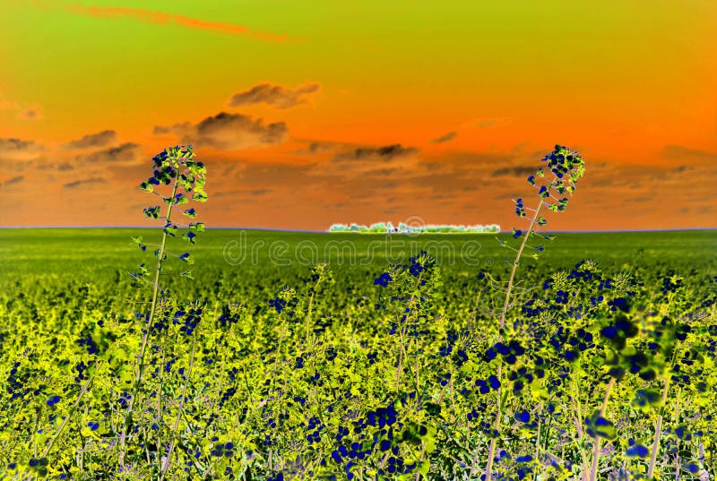 Solarize Effect Stock Photos - Free & Royalty-Free Stock Photos from ...