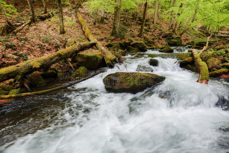Rapid Brook among Rocks in the Natural Park Stock Image - Image of ...