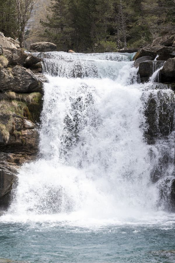 A Rapid, Clear River Flowing Over Smooth, Moss-covered Rocks in a ...